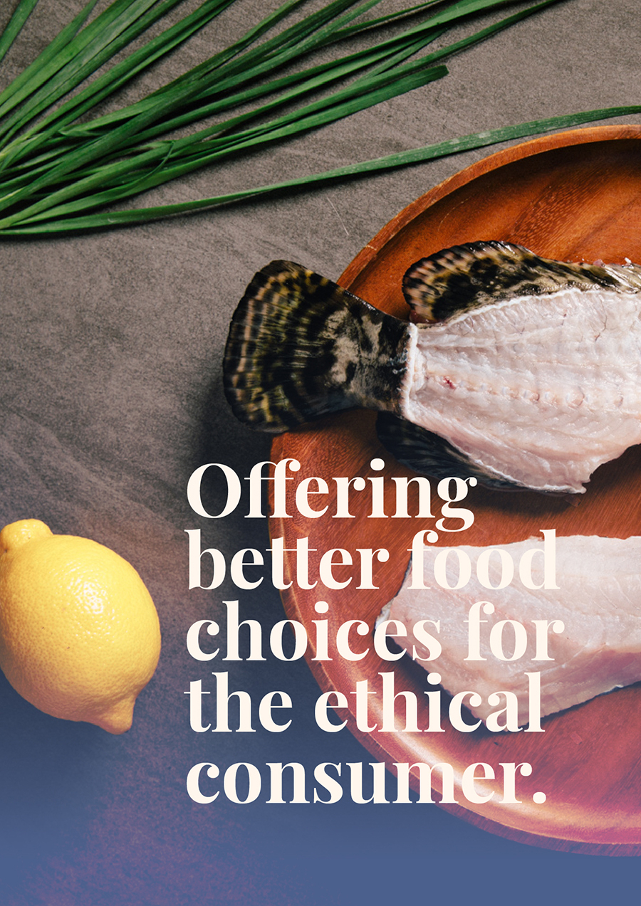 ONO Creates ⌁ The Sustainable Seafood Project